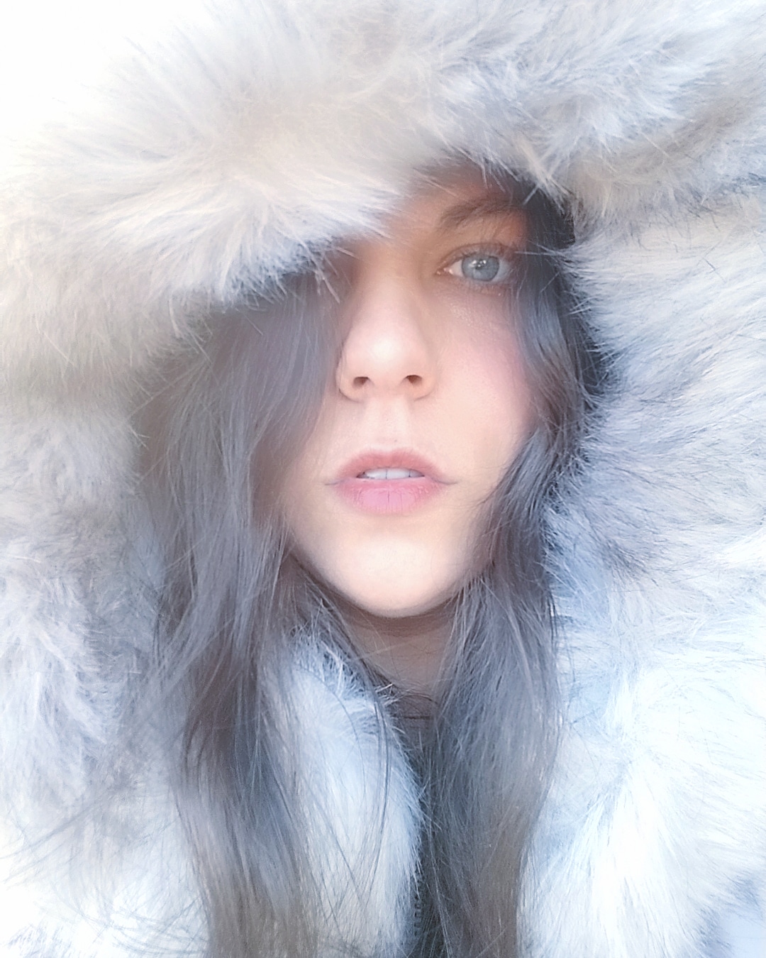 Morgan Fey: Guest Blog #1 – VendettaVerse